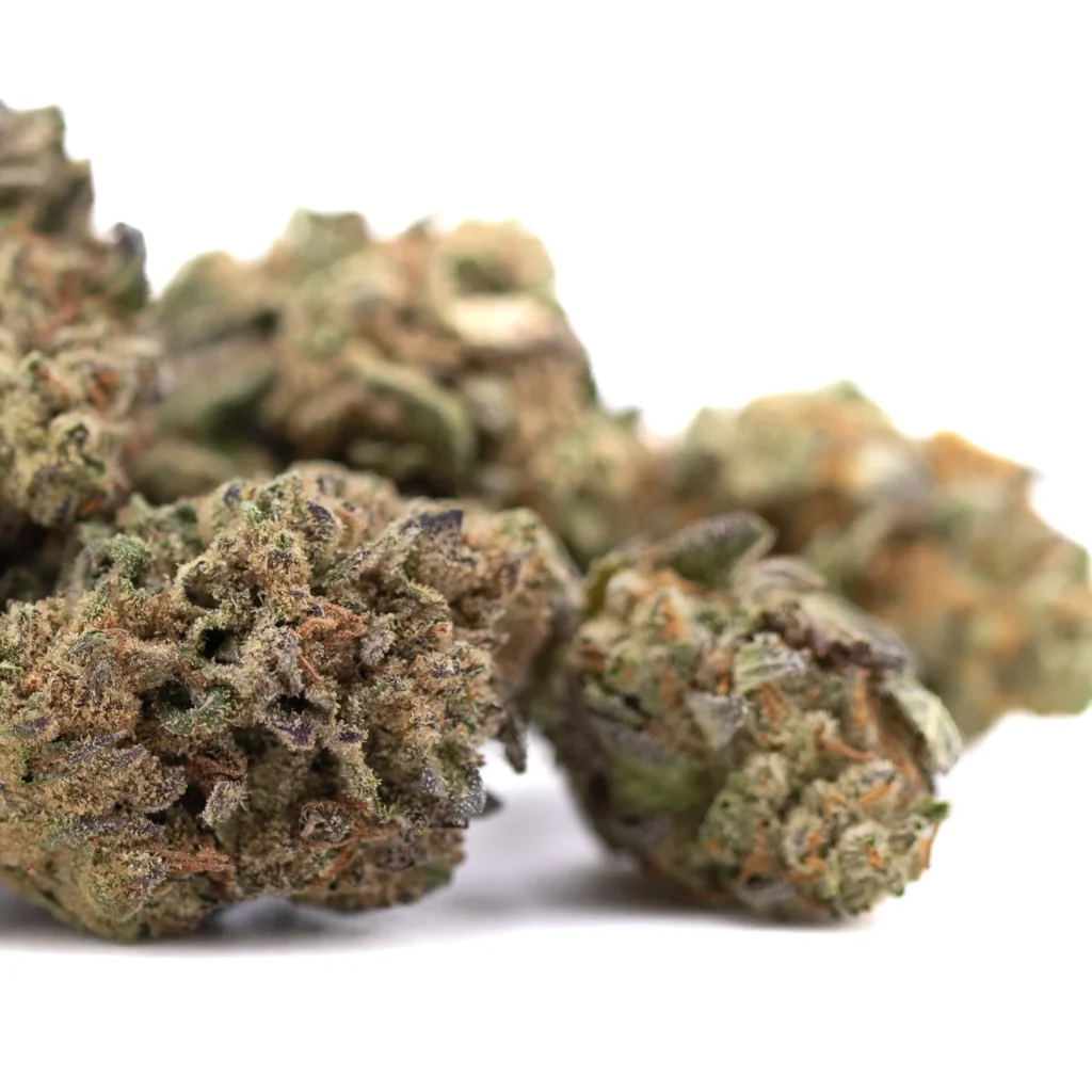 Poison Gushers THCA Hemp Flower | Germany EU Wholesale